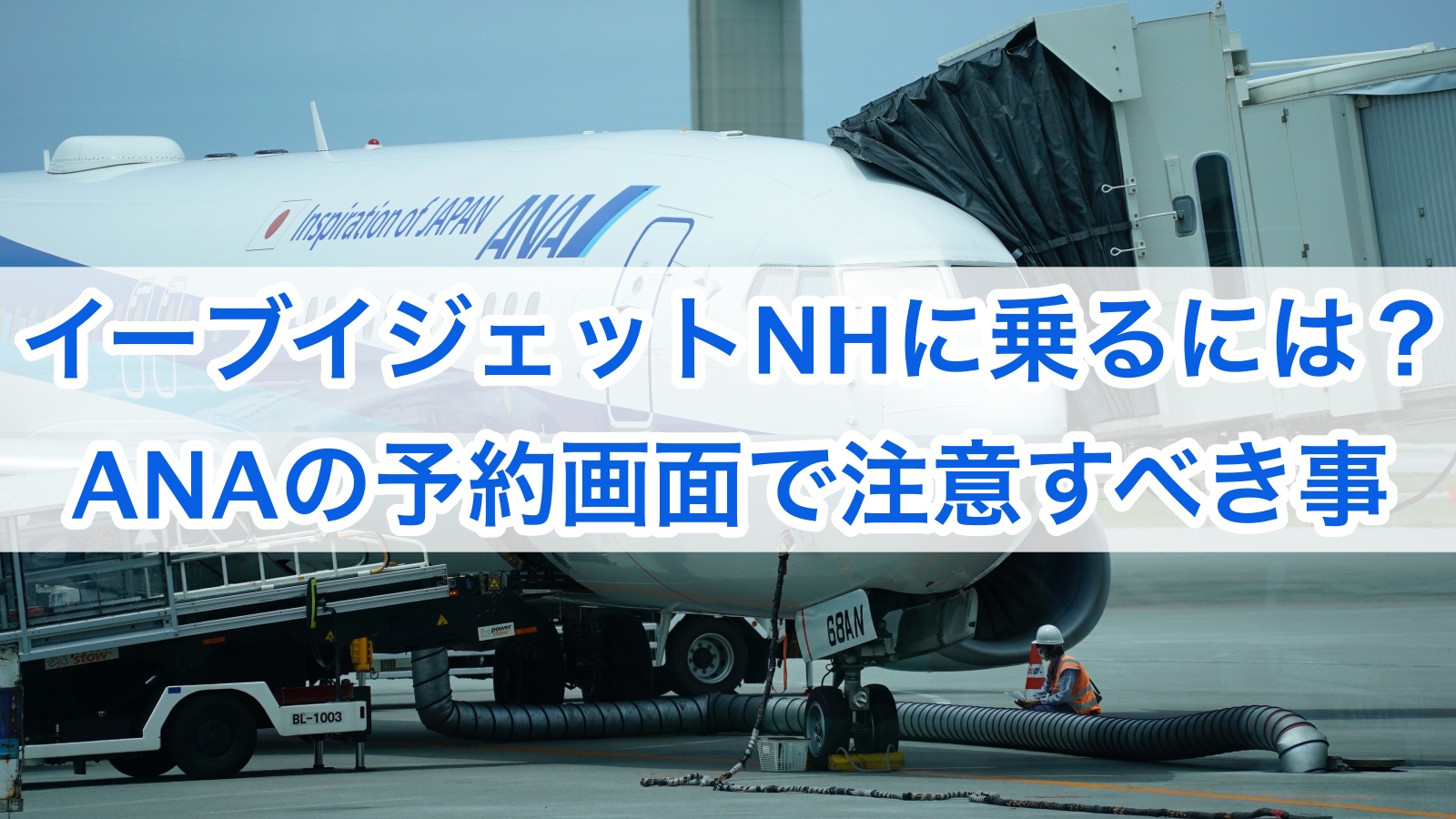 イーブイジェットNHに乗るには？ANAの予約画面で注意すべき事 | エヌズブログ